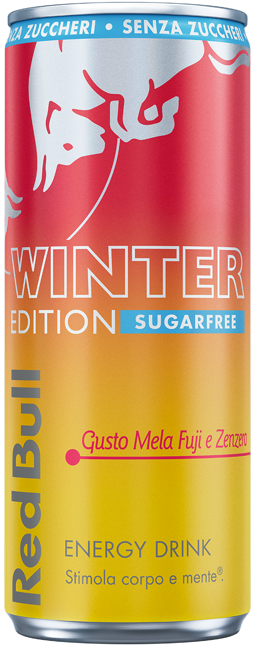 RED BULL WINTER EDITION 24X250ML ITA - FreshTropical