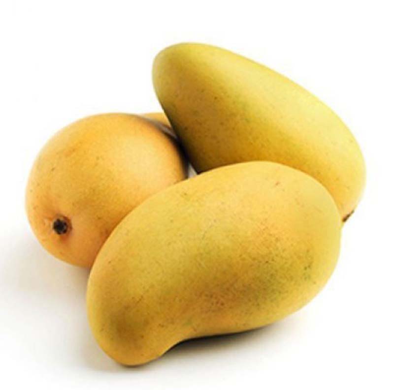MANGO PAKISTAN CIRCA 1.3KG GROSS WEIGHT - FreshTropical