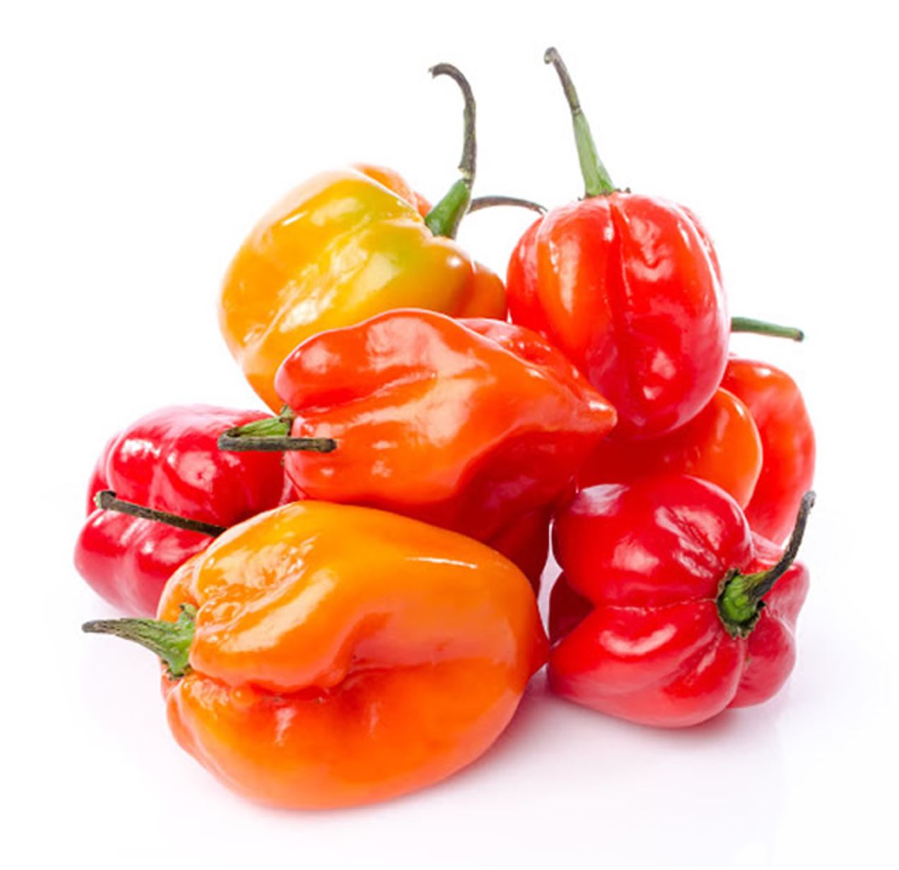HOT PEPPER 4KG - FreshTropical