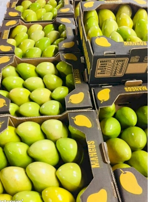 MANGO ATAULFO BRAZIL 4 KG BY AIR - FreshTropical