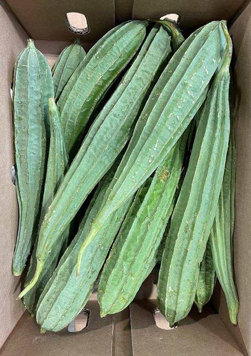 TURIA/ZINGA 4KG - FreshTropical