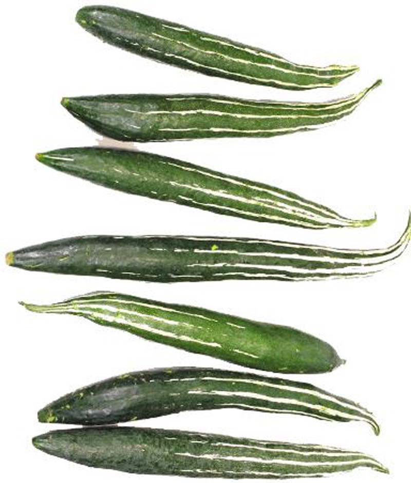 BANGLA VEG. KOHI 5KG - FreshTropical