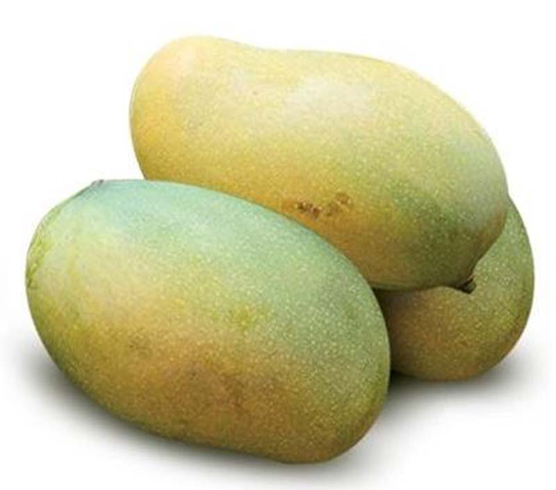 MANGO BANGLADESH (FAZLI) 5KG - FreshTropical