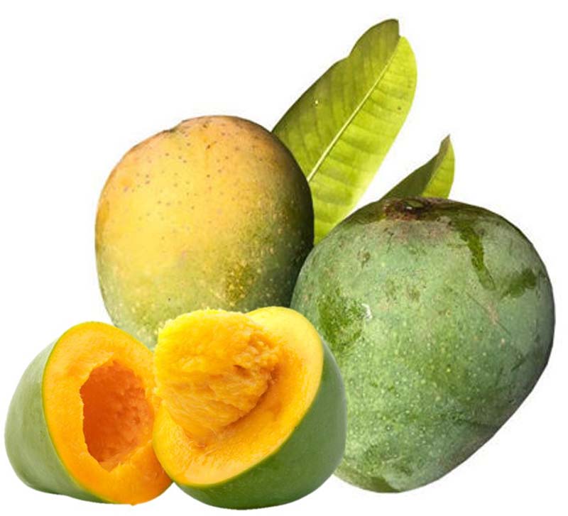 MANGO BANGLADESH (HIM SAGOR) 5KG - FreshTropical