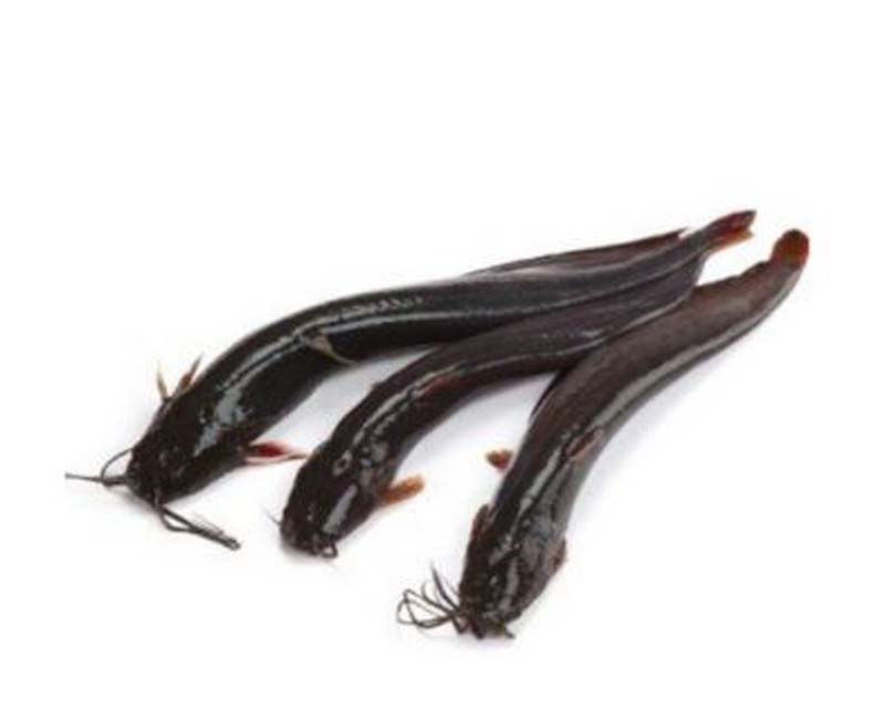 BD BLOCK SHING CLEAN 12X500G - FreshTropical