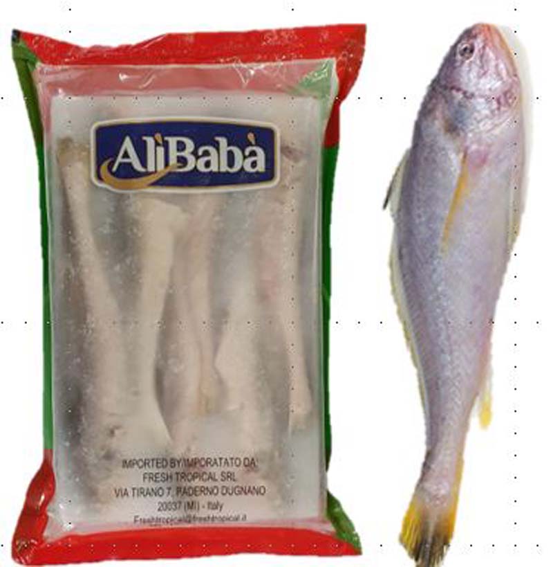 BD BLOCK POA CLEAN 12X500G - FreshTropical