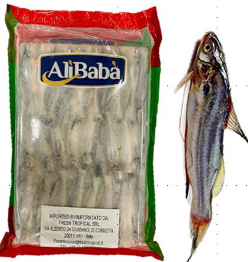 BD BLOCK TENGRA CLEAN 12X500G - FreshTropical