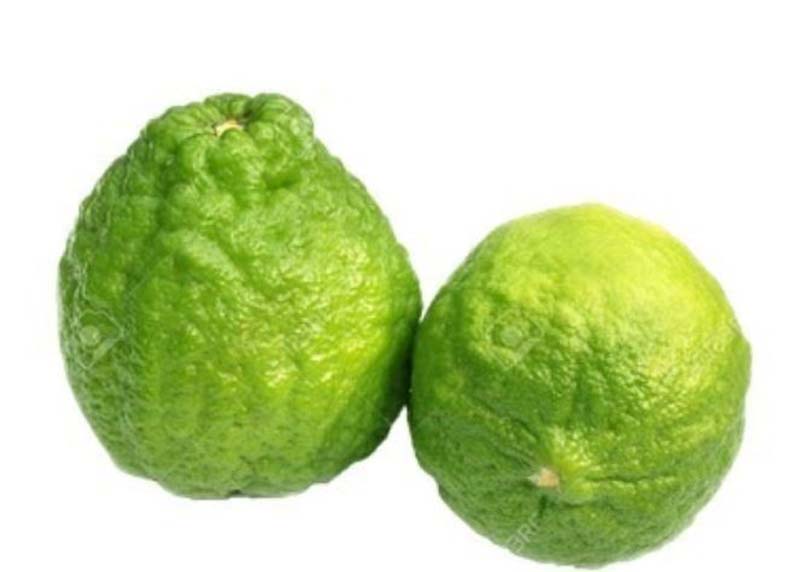 BANGLA VEG. JARA LEBU(LEMON) 5KG - FreshTropical